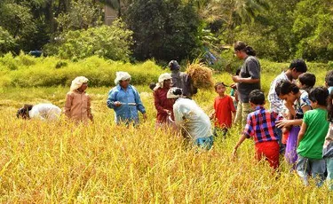 Goa Chitra Harvest Festival In South Goa, A Complete Guide By A Goan